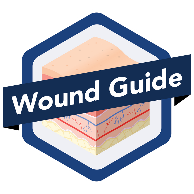 Wound Guide - Epithelialising – Advancis Medical